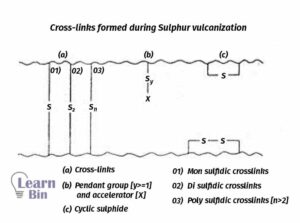 Latex Compounding In Latex Processing | Learnbin
