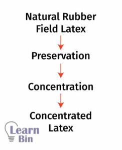 Latex Preservation In Latex Processing | Learnbin