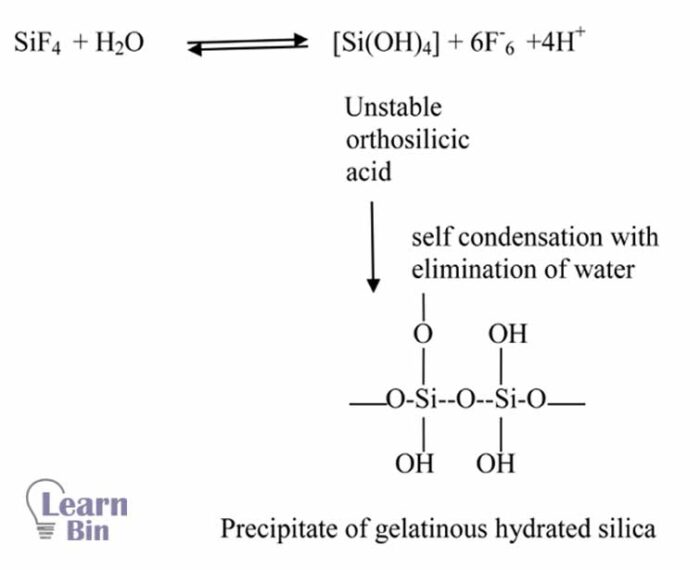 Latex Dipping Process | Manufacturing Thin-Film Latex Products | Learnbin