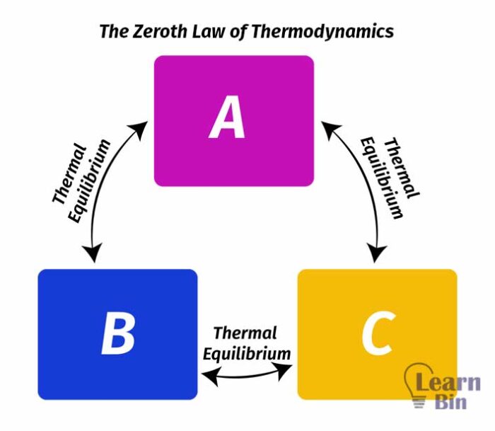The Zeroth Law Of Thermodynamics – The Concept Of Temperature | Learnbin