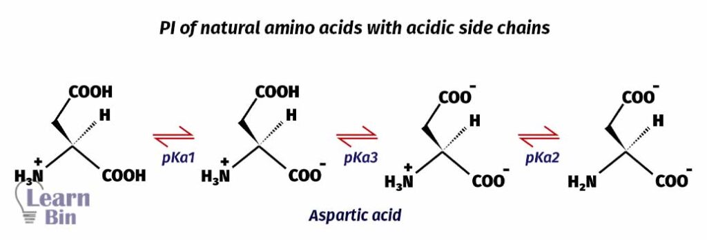 Physiochemical Properties Of Amino Acids | Learnbin