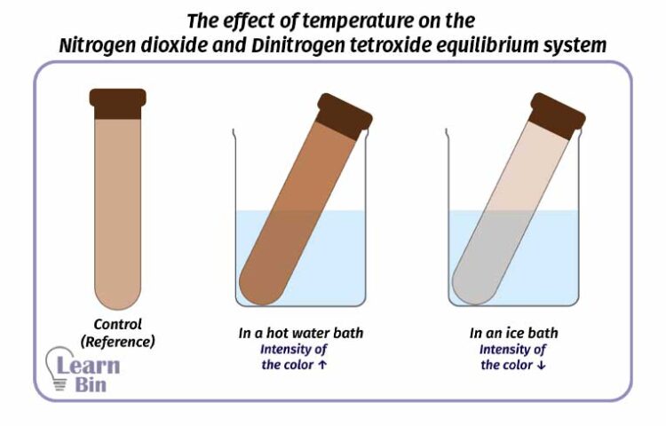 Equilibrium Point - Factors Affecting The Equilibrium Point | Learnbin
