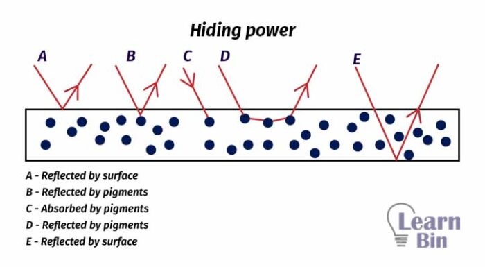 Paint Pigments In Paints And Coatings | Learnbin