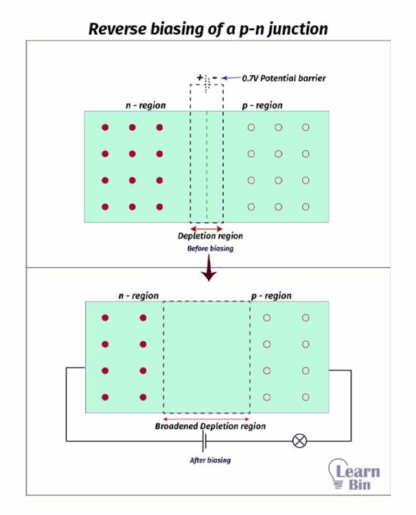 PN Junction - The Foundation Of Modern Electronics | Learnbin