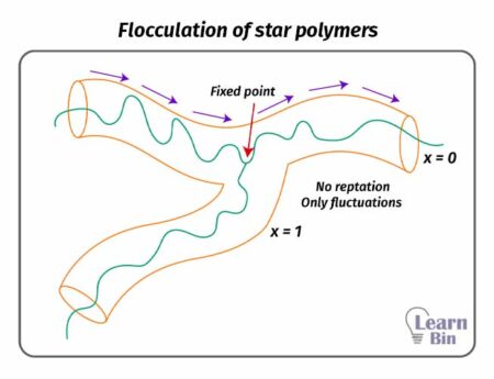 Dynamics Of Entangled Polymers | Learnbin