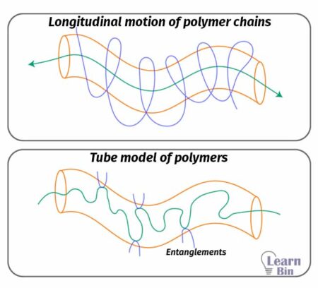 Dynamics Of Entangled Polymers | Learnbin