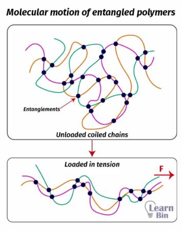 Dynamics Of Entangled Polymers | Learnbin