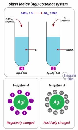 Colloidal Systems - What Are Colloidal Solutions? | Learnbin
