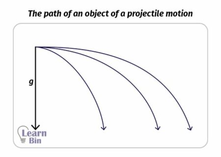 Projectile Motion | Learnbin