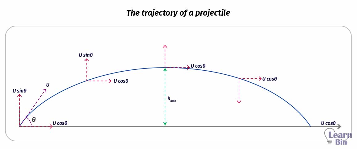 Projectile Motion Learnbin