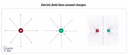 Electric Field Lines | Learnbin