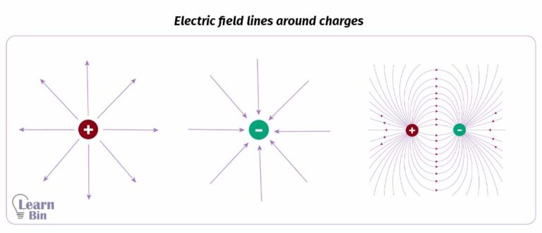 Electric Field Lines | Learnbin