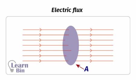 Electric Field Lines | Learnbin