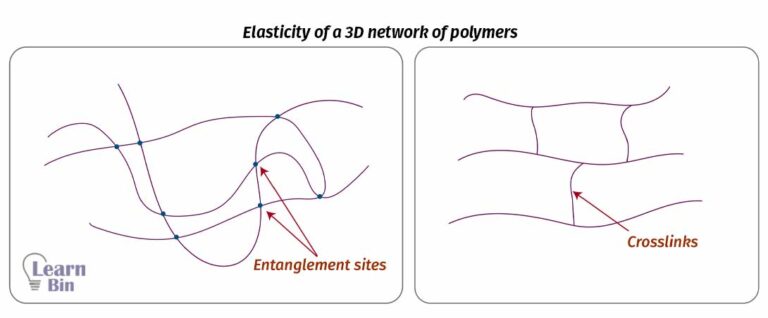 Basic Concepts Of Rubber Elasticity | Learnbin