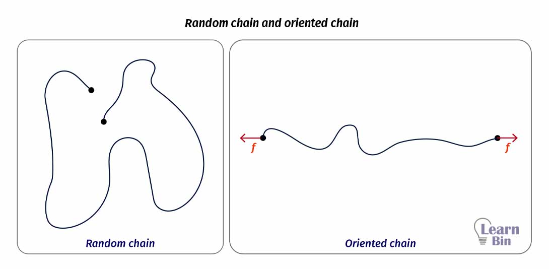 Basic Concepts Of Rubber Elasticity | Learnbin