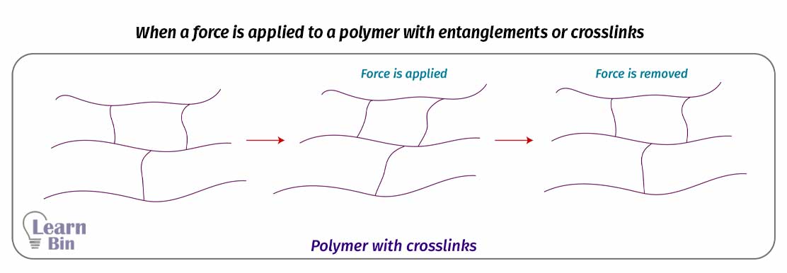 Basic Concepts Of Rubber Elasticity | Learnbin