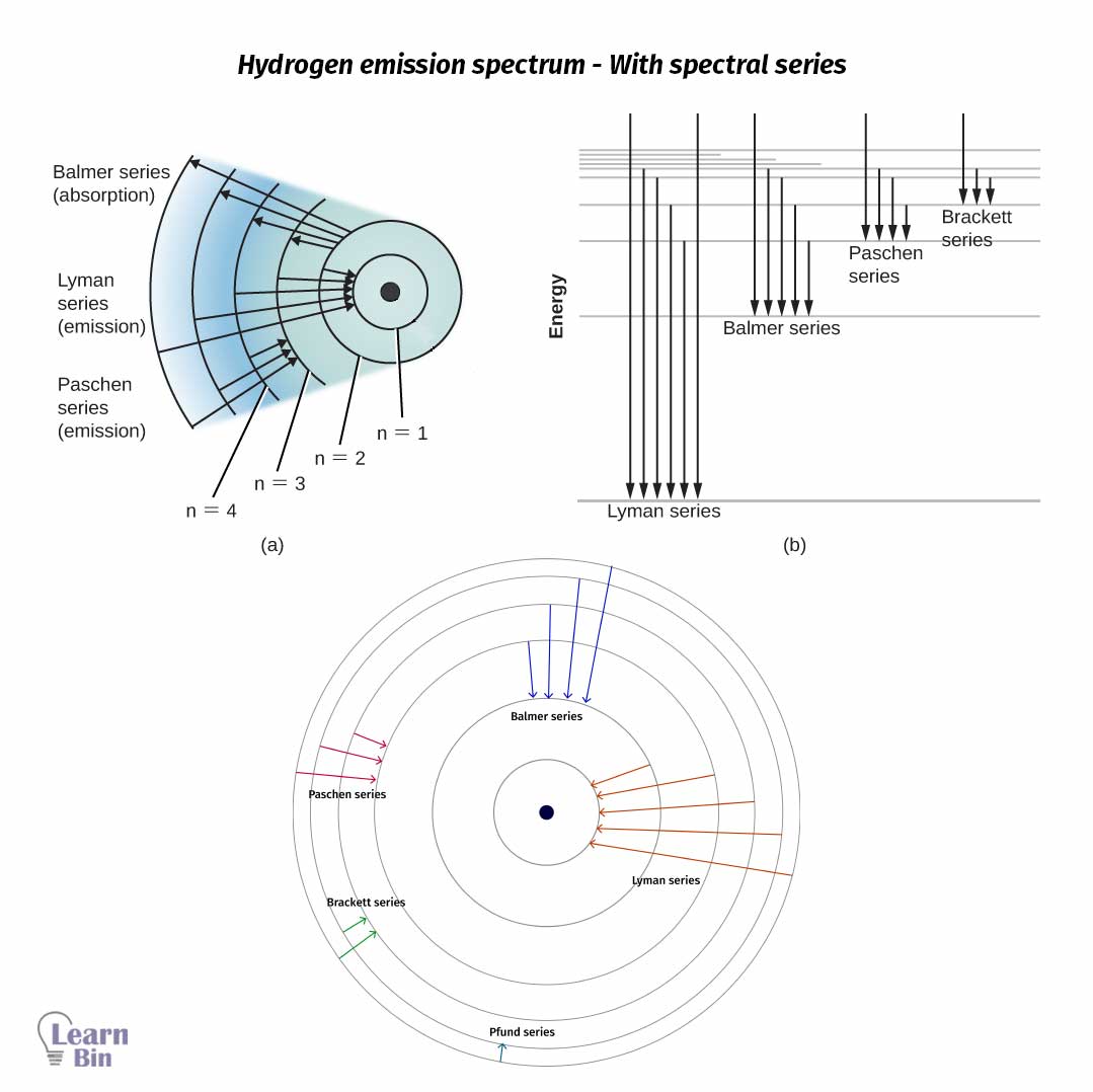 Electron Energy Levels | Learnbin