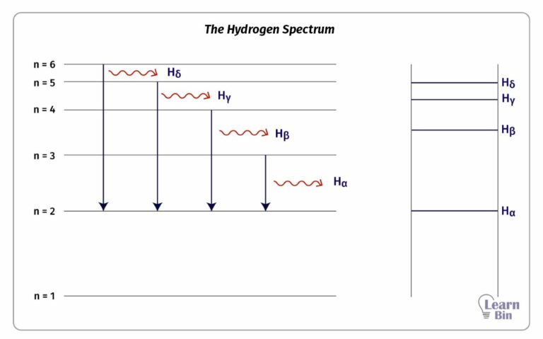 Electron Energy Levels | Learnbin
