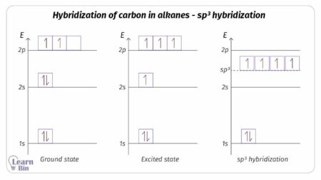The Chemistry Of Alkanes | Learnbin