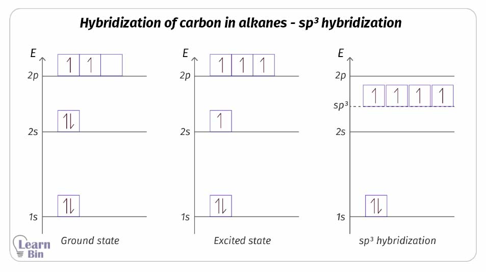 The Chemistry Of Alkanes | Learnbin