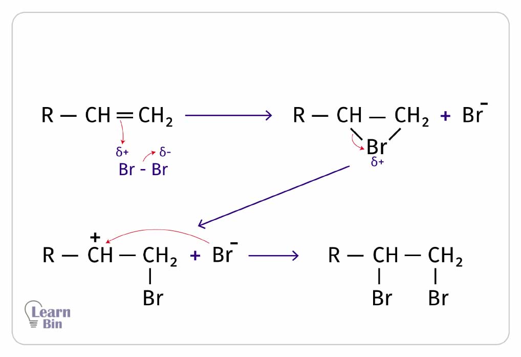 Reactions Of Alkenes | Learnbin