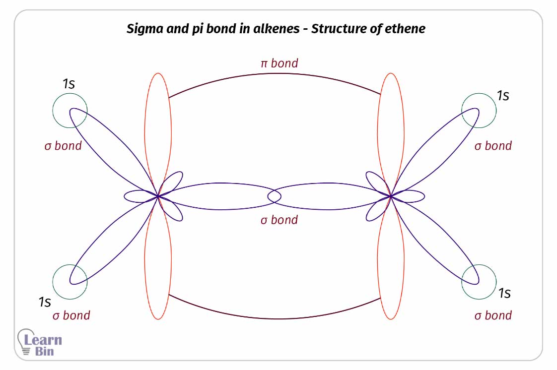 Chemistry Of Alkenes | Learnbin