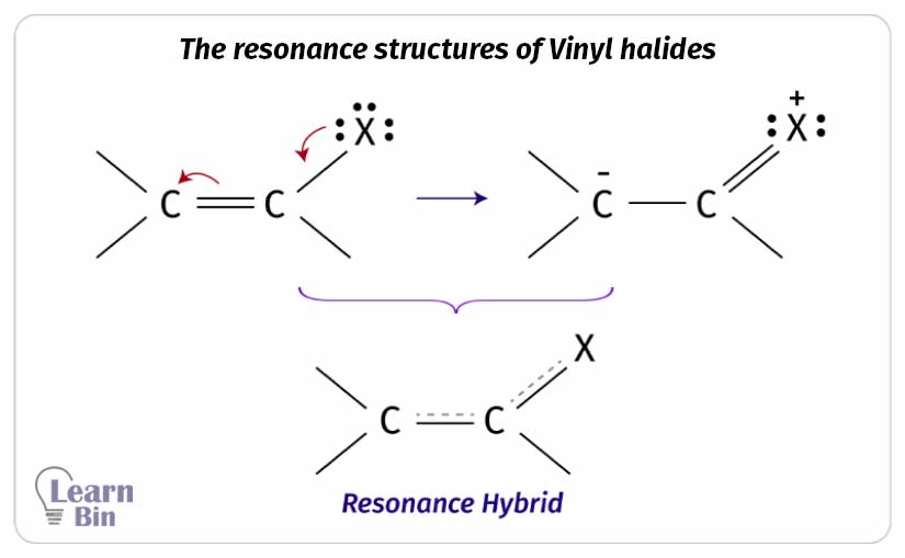 Reactions Of Alkyl Halides | Learnbin
