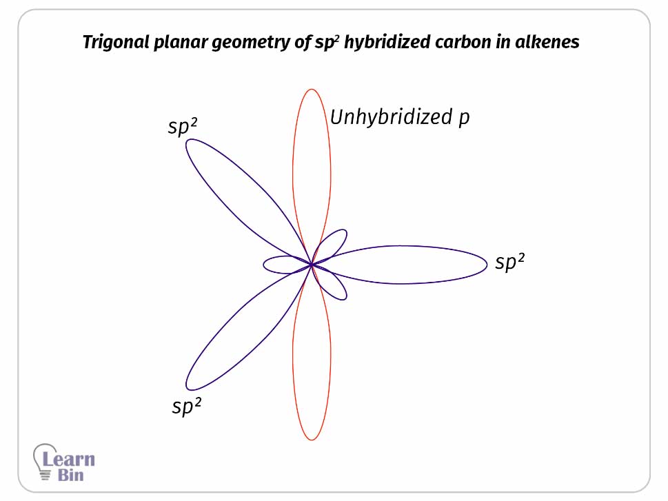 Chemistry Of Alkenes | Learnbin