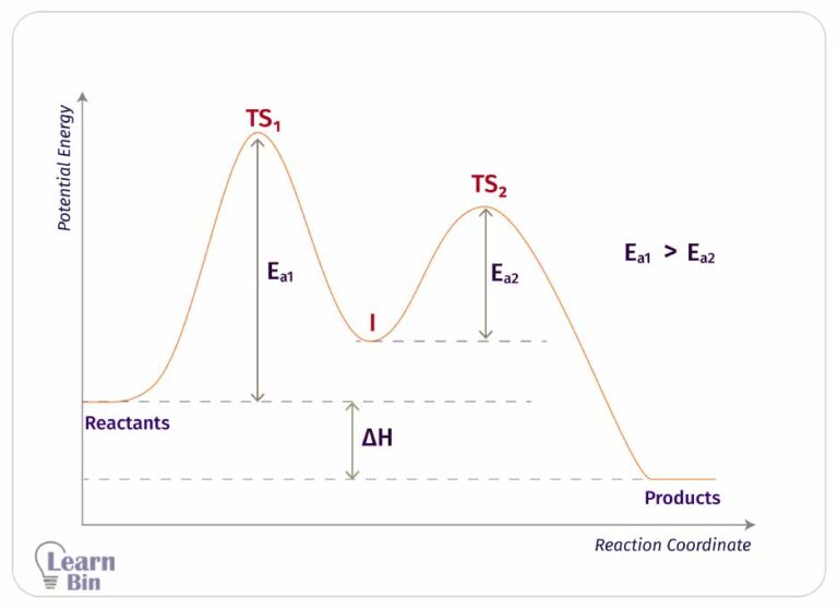 Elementary Reactions And Complex Reactions | Learnbin
