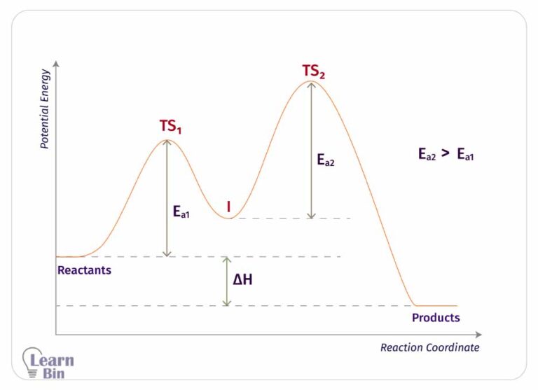Elementary Reactions And Complex Reactions | Learnbin