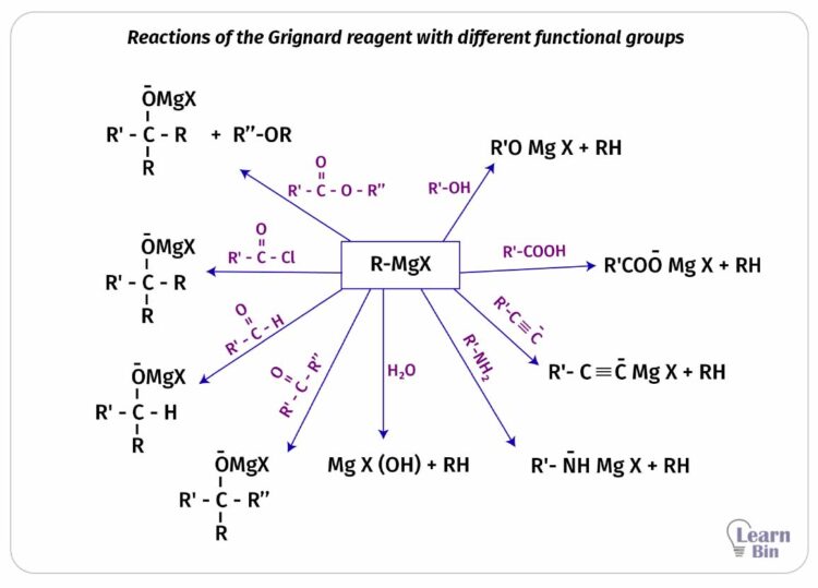 The Grignard Reagent | Learnbin