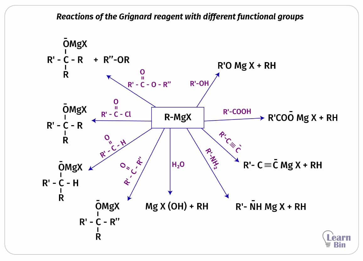 The Grignard Reagent | Learnbin